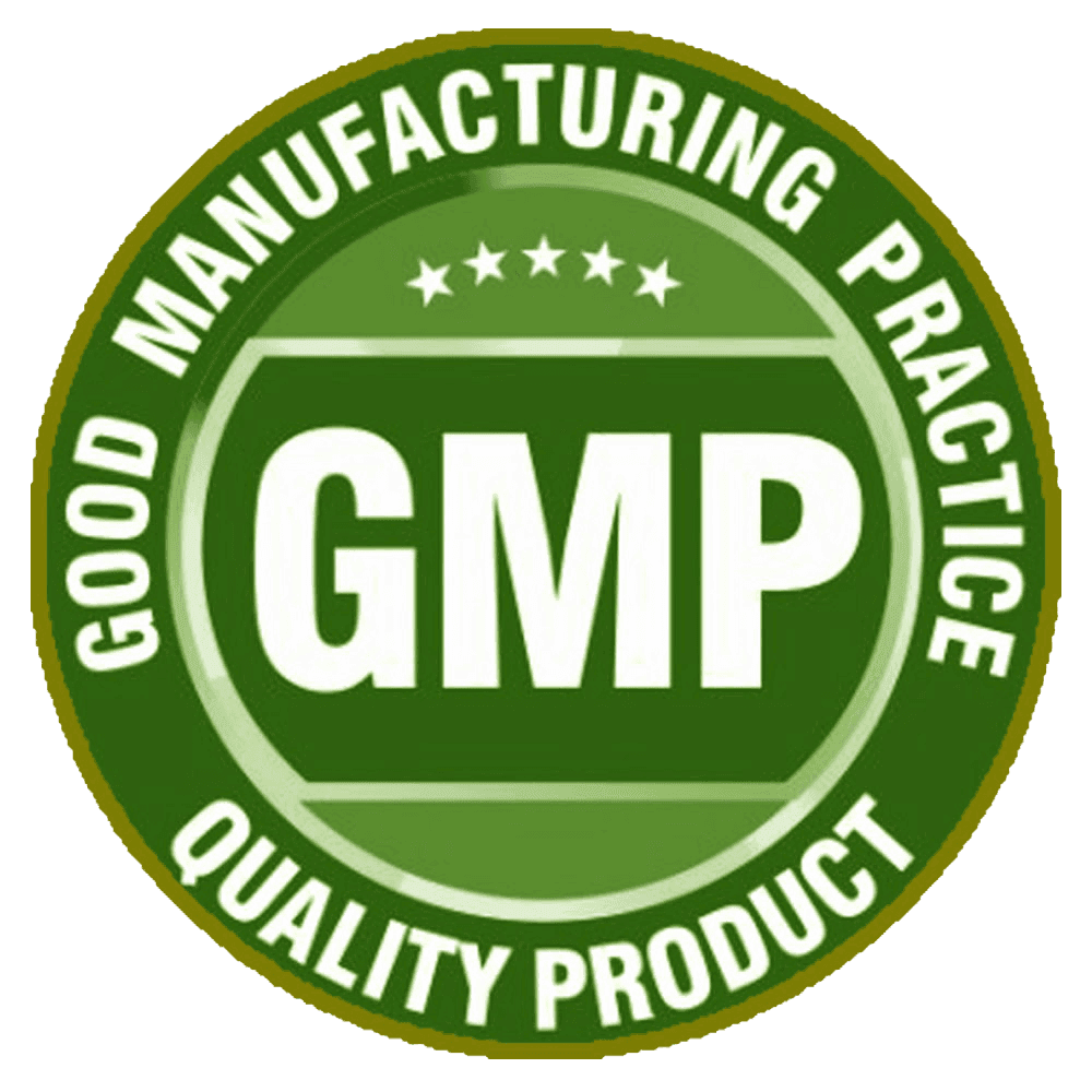 GMP Certification Guide: Ensuring Pharma Quality Compliance